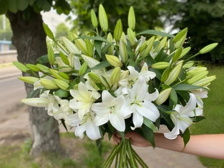 Lilien Wei Bedeutung